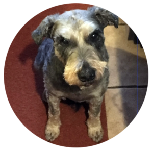 About Me - Molly B. Burnham